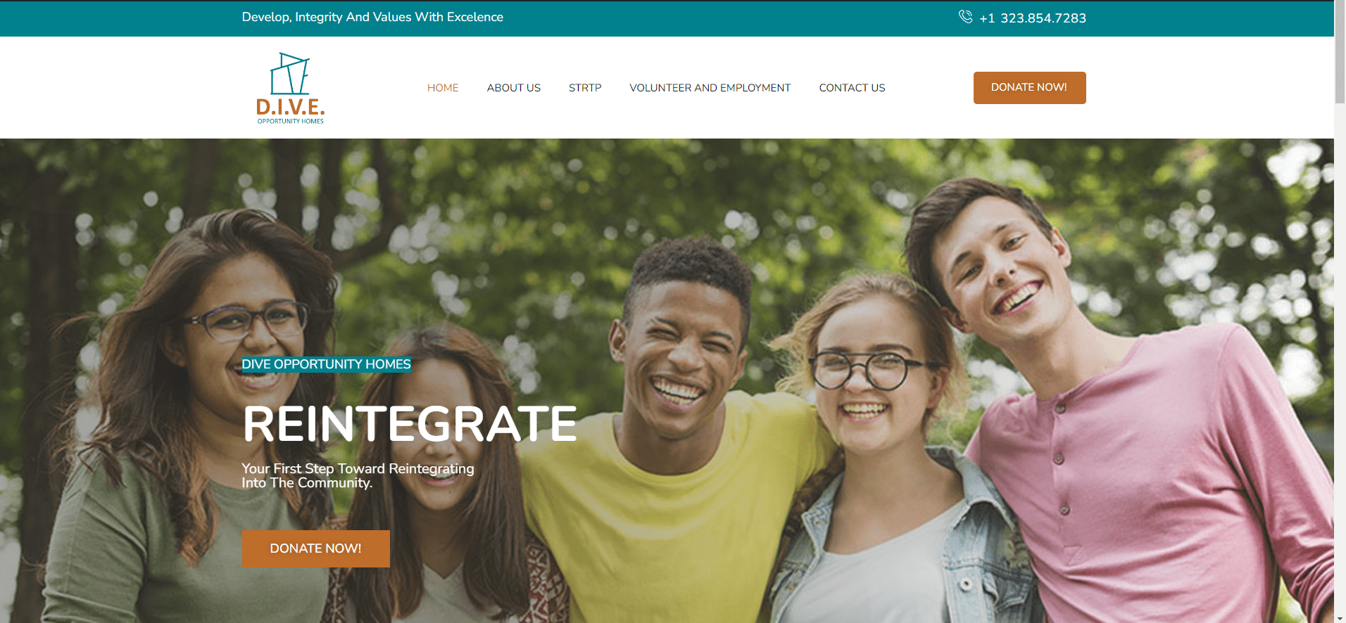 Hire a Freelance Web Developer for Custom Website Design – Your Partner ...